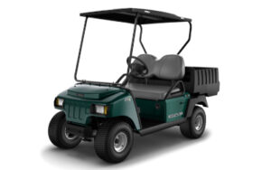 Rentals – Golf Cart Rentals Orlando